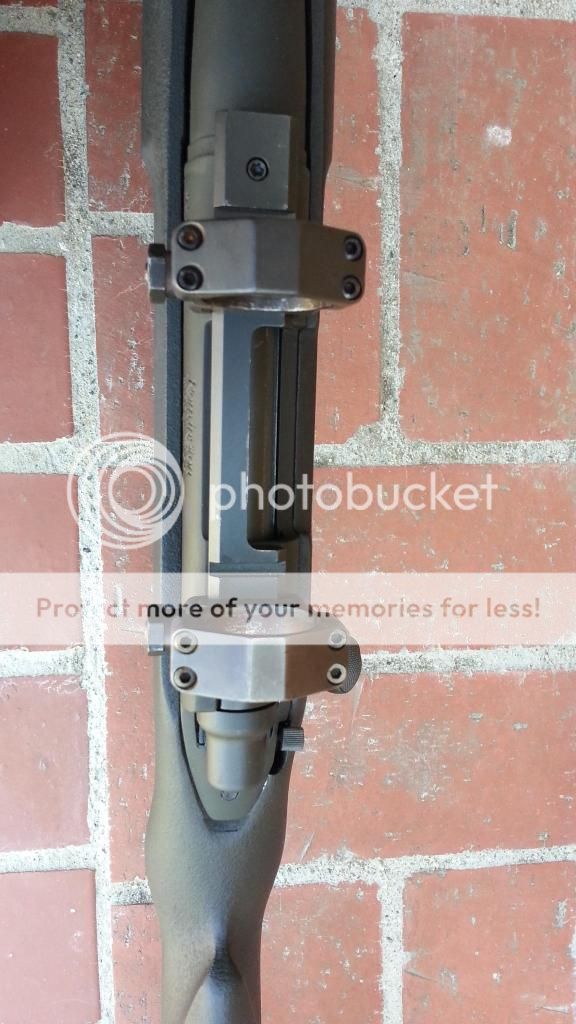 Need help identifying rings and mount - Calguns.net