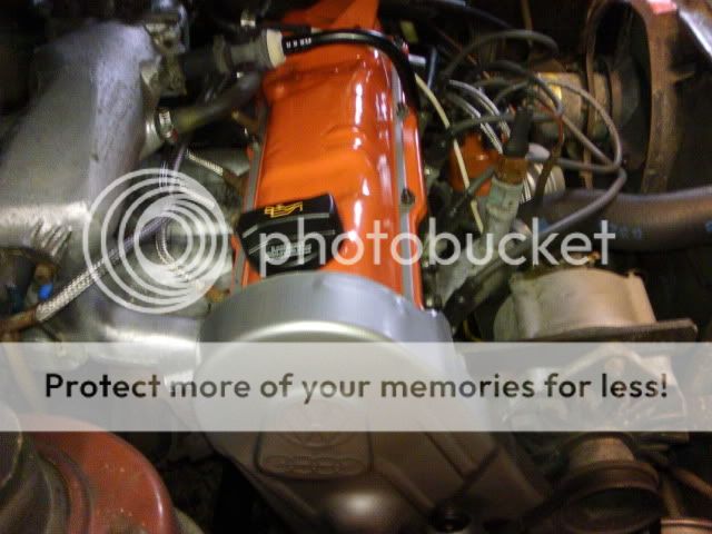 1981 Rabbit Convertable | Volkswagen Owners Club Forum